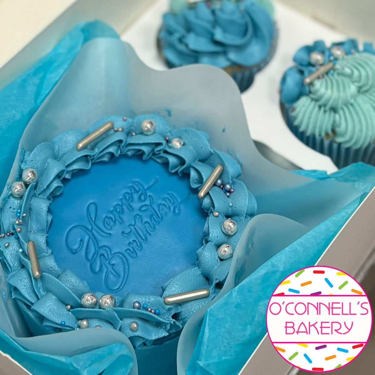 Bento Cake Box - Blue – O'Connell's Bakery